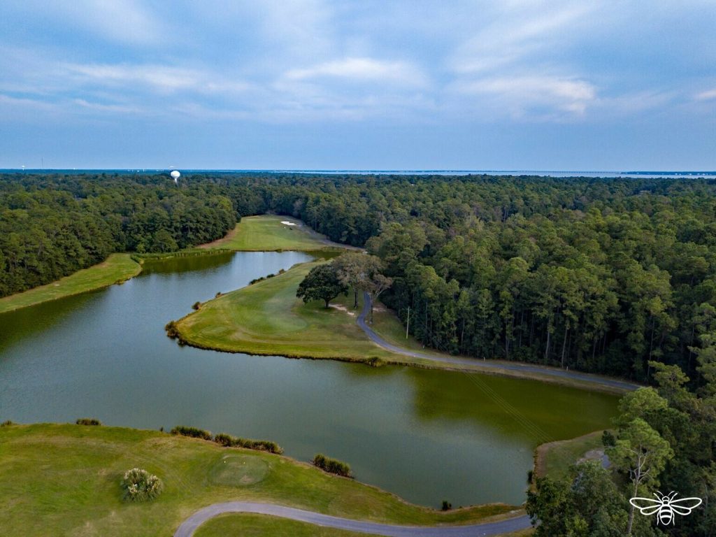 Leading Real Estate Auction Company | JP King