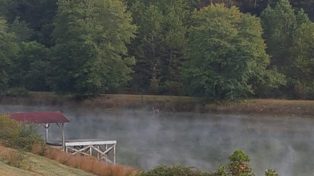 Red Top Farm - Scenic 79+/- Acre Equestrian Estate | JP King Auction ...