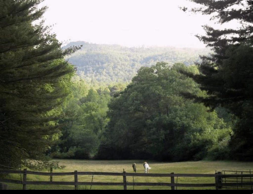Red Top Farm - Scenic 79+/- Acre Equestrian Estate | JP King Auction ...