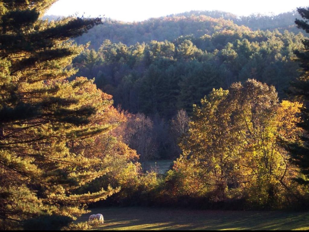 Red Top Farm - Scenic 79+/- Acre Equestrian Estate | JP King Auction ...