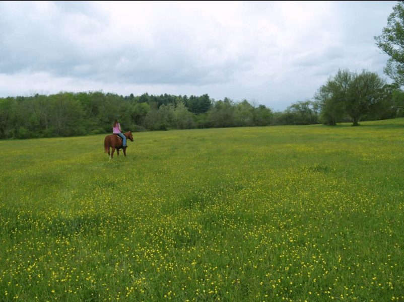 Red Top Farm - Scenic 79+/- Acre Equestrian Estate | JP King Auction ...