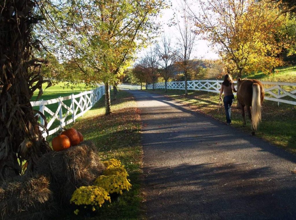 Red Top Farm - Scenic 79+/- Acre Equestrian Estate | JP King Auction ...