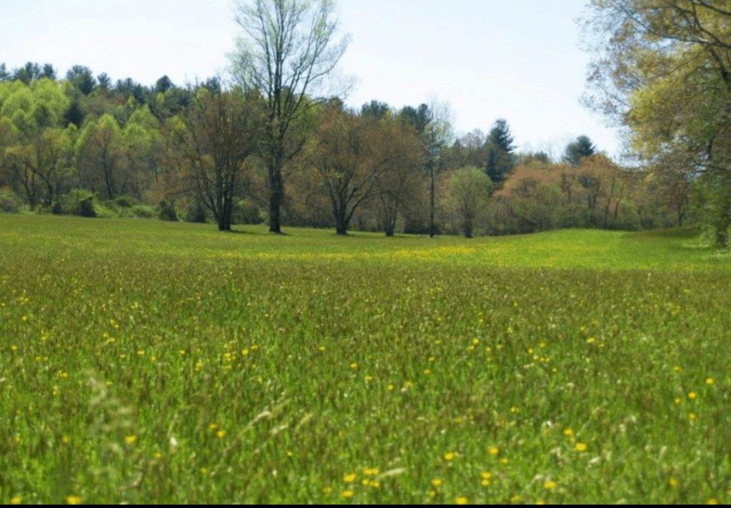 Red Top Farm - Scenic 79+/- Acre Equestrian Estate | JP King Auction ...