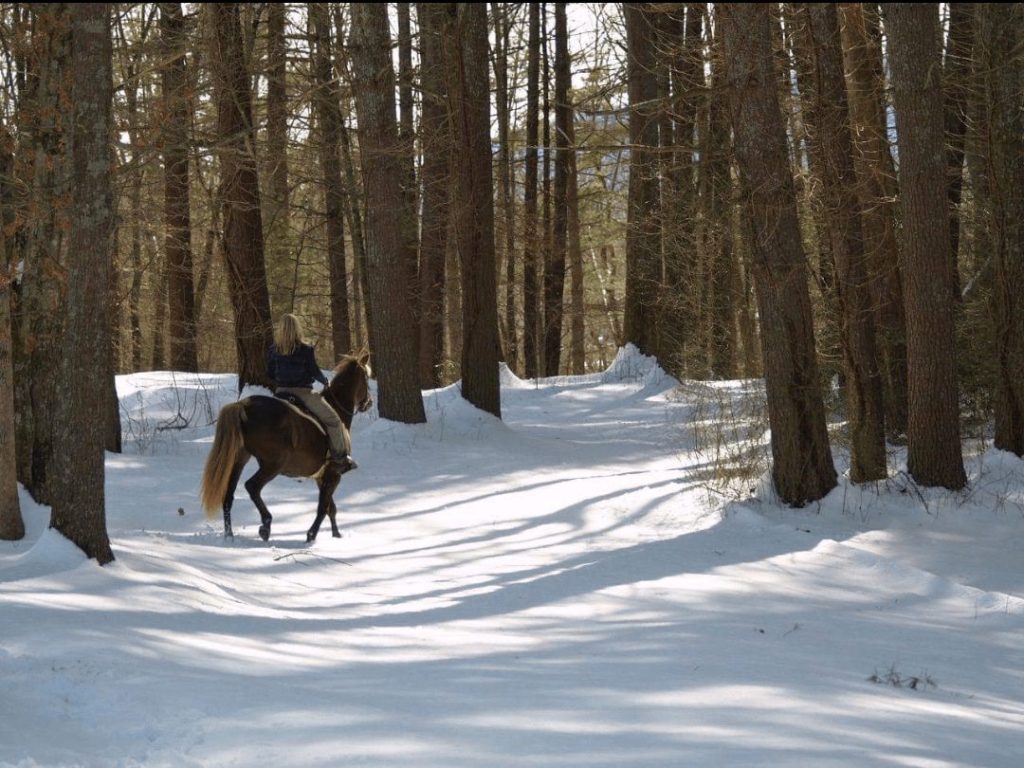 Red Top Farm - Scenic 79+/- Acre Equestrian Estate | JP King Auction ...