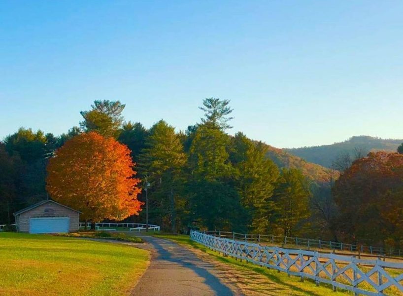 Red Top Farm - Scenic 79+/- Acre Equestrian Estate | JP King Auction ...