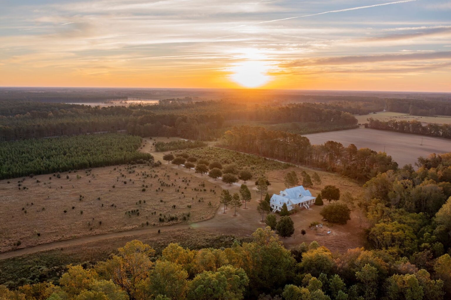 Real Estate Auction Company - Luxury Auctions | JP King