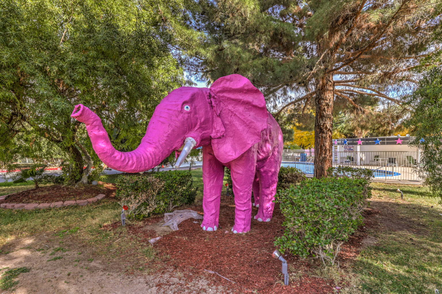 Leading Real Estate Auction Company | JP King